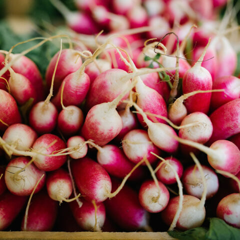 Duncan Farmers Market