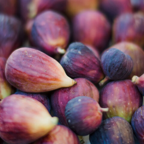 Duncan Farmers Market